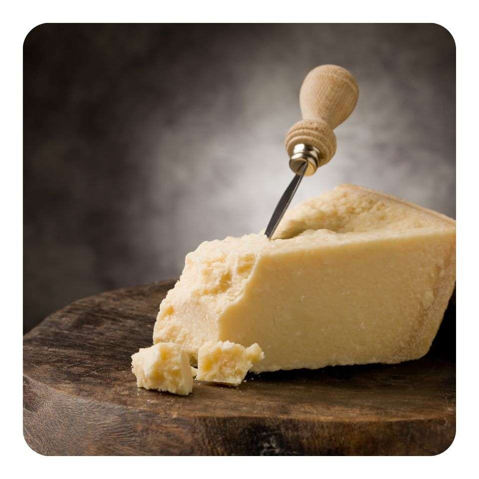 PARMESANO REGGIANO BIO 750GRS - Fricañ
